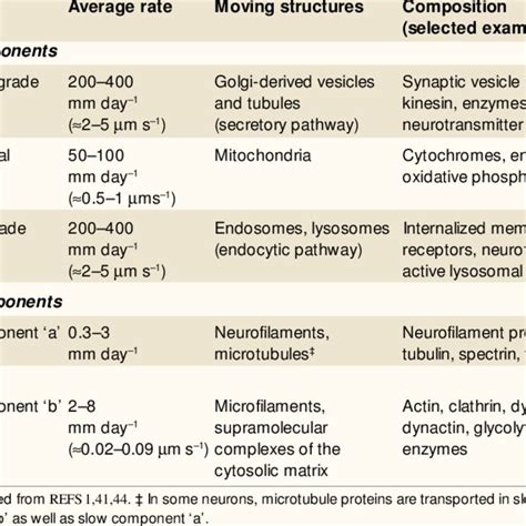 The Moving Structures Of Axonal Transport Download Table