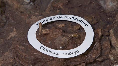 A Real Life Jurassic Park In The Heart Of Portugal