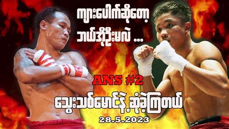 အစွယ်ထက်ဆဲကျားတကောင်နှင့်သွေးသစ်မင်းသား ကျားပေါက်နှင့်သွေးသစ်မောင