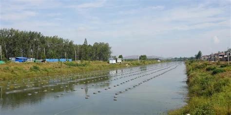 武戈调研全县林长制、河长制、生态环境文明建设工作萧县人民政府