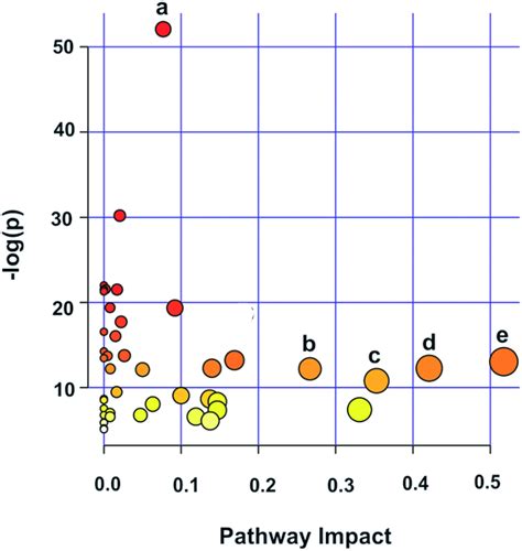 Plot For Metabolite Set Enrichment Analysis Msea A Download