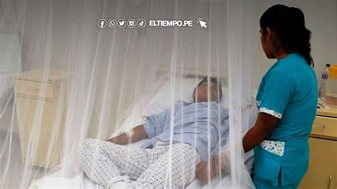Descartan alerta epidemiológica por dengue en Piura