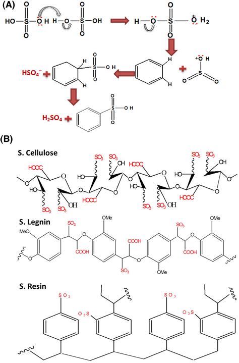 General Schematic Diagrams For The Sulfonation Effect On The Organic Download Scientific