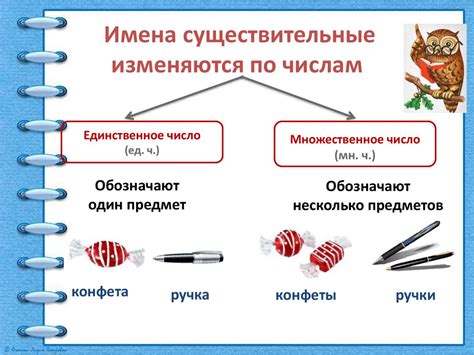 Имена существительные изменяются по числам Online Presentation
