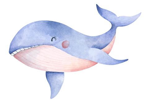 Linda Ballena Azul Arte De Animales Bajo El Agua Ilustración De