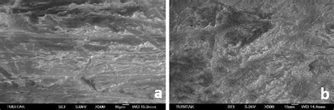 A Sem Image Of The Lithium Disilicate Samples Before Er Yag Ap B