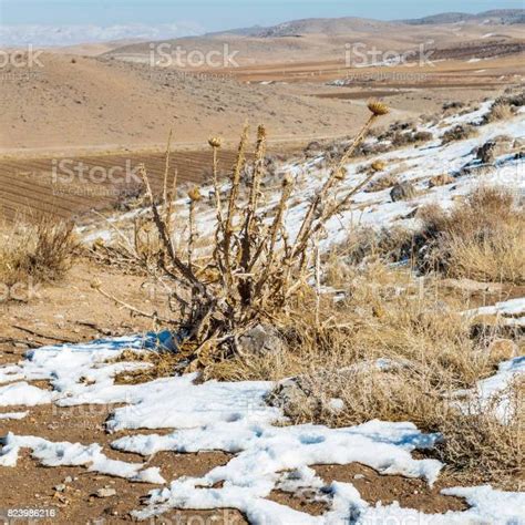 Pasargad 이란의 고 대 페르시아어 도시 근처 사막 유네스코 세계 유산 0명에 대한 스톡 사진 및 기타 이미지 0명