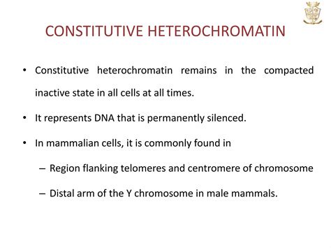 Levels Of Chromatin Organization Pptx