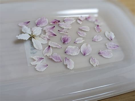 Cainz Diy Square
