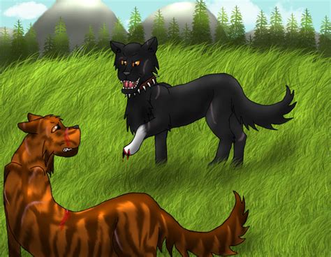 Tigerstar VS Scourge By Spottedheart3 On DeviantArt