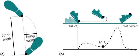 Sensors Free Full Text A Deep Learning Approach For Foot Trajectory Estimation In Gait