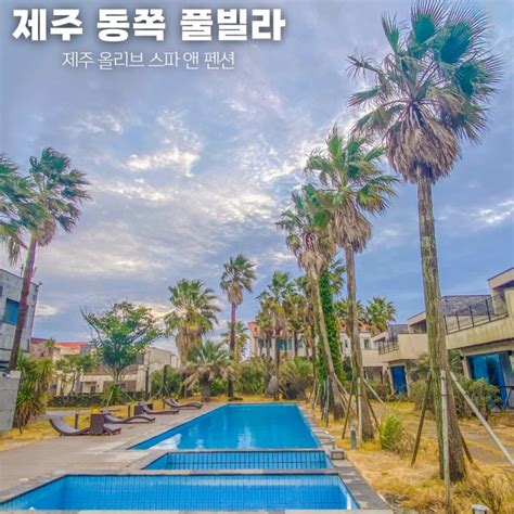 제주도 풀빌라 독채 펜션 구좌읍 동쪽 올리브 스파앤풀빌라 네이버 블로그