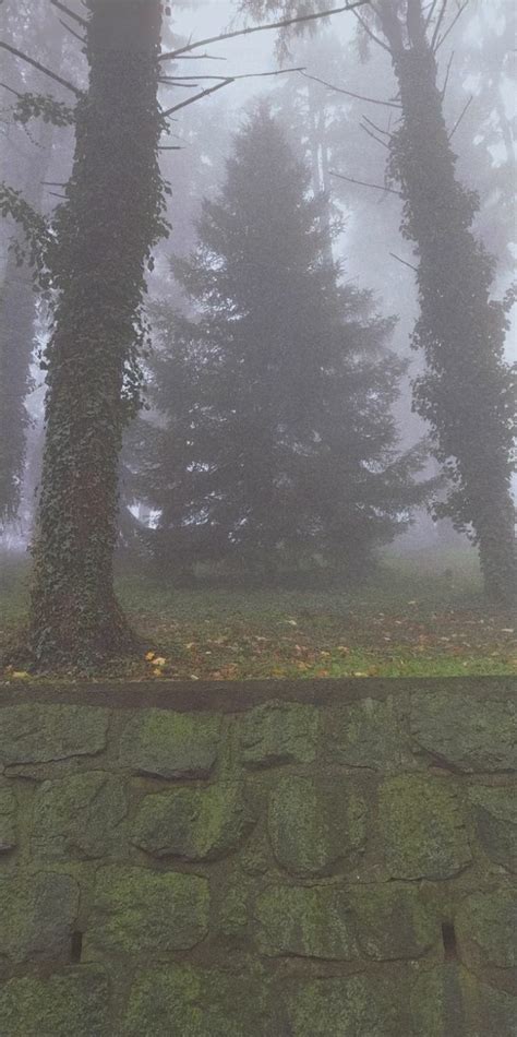 Aesthetic Autumnfall Core