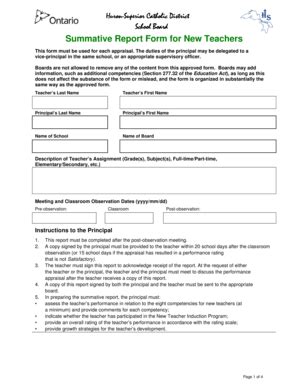 Fillable Online Summative Report Form For New Tch Np Huron Superior
