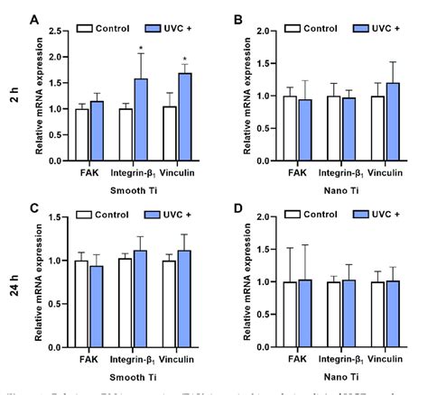 Relative Mrna Expression Fak Integrin β1 And Vinculin Of Hgfs On