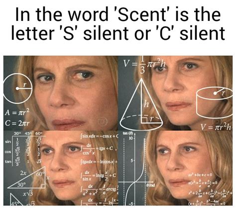 Looks Like Pythagoras Theorem Cant Solve This Question Rmemes