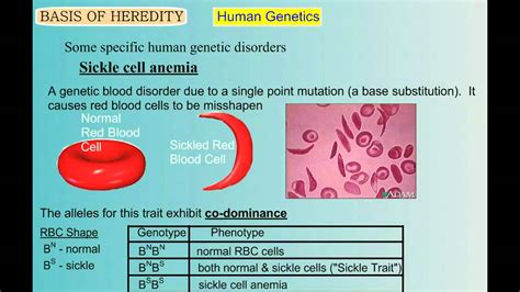 Human Genetics Disorders