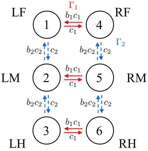 [论文审查] A Central Pattern Generator Network For Simple Control Of Gait Transitions In Hexapod