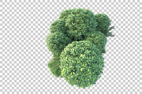 Premium PSD Green Landscape Isolated On Transparent Background D Rendering Illustration