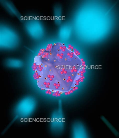 Aids Virus Particle Artwork Stock Image Science Source Images