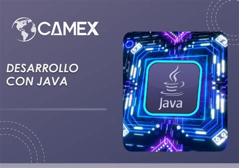 DESARROLLO CON JAVA ONLINE CAMEX