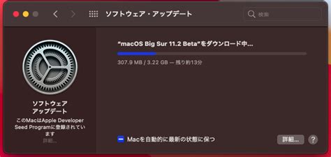 hackintosh macosx bigsur 11 2 20d5029f betaのインストール成功！ os maniax