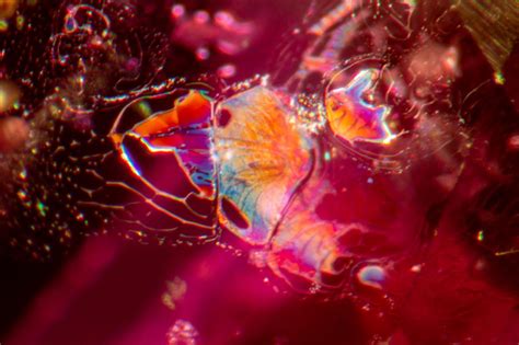 Typical Inclusions In Ruby Gemstones And Ruby Synthetics The Natural