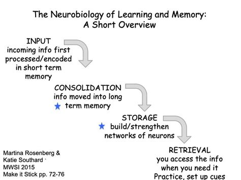 Memory Encoding Storage Retrieval