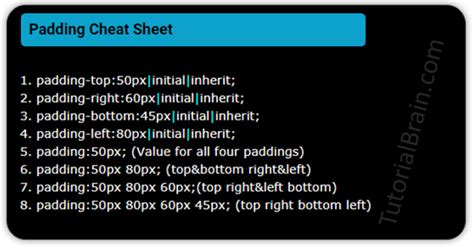 CSS Padding TutorialBrain
