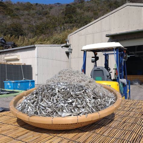 長門市水産加工の早川水産