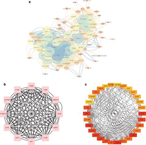 Construction Of Ppi Molecular Interaction Network A Ppi Networks Were
