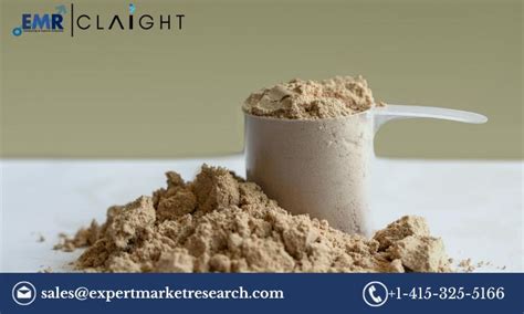 Protein Supplement Market Size Share Growth Report