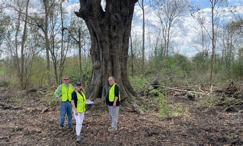 Leo Marsh Posted On Linkedin