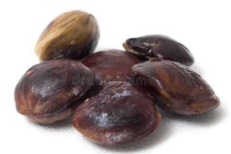 Archidendron Pauciflorum Commonly Known As Djenkol Jengkol I Stock