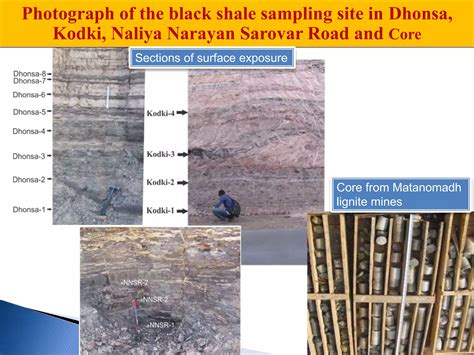 Applications Of Foraminifera 1 Pptx