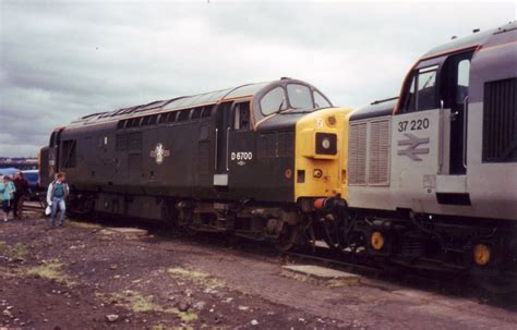 Mainline Diesel Locomotives Class 37s No 37350 D6700 Flickr