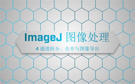 ImageJ 图像处理4 通道拆分合并与图像导出 视频下载 Video Downloader