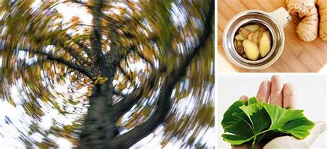 5 Natural Remedies For Treating Vertigo The Lost Herbs