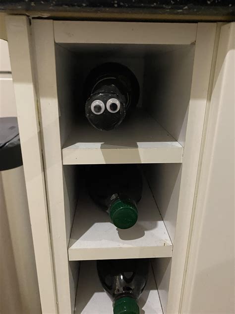 This Wee Guy Has Been Hiding In His Cave For Over A Week Now… R