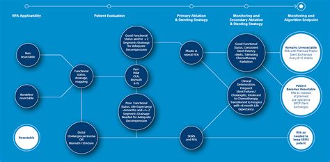 Patient Treatment Algorithm Habib™ Catheter Boston Scientific