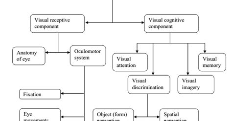 The Times Of Rehabilitation Visual Perception What It Exactly Is
