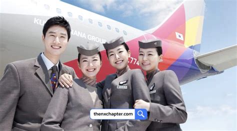 Asiana Airlines รับสมัคร Cabin Crew ลูกเรือ ชาย หญิง ขอ Toeic 550