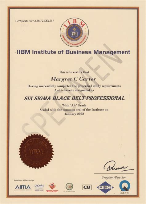 Six Sigma Black Belt Professional IIBM India