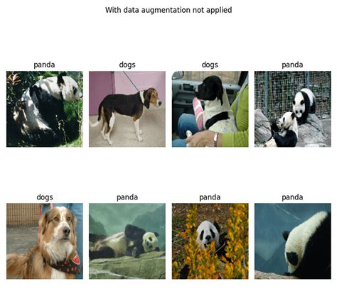 data augmentation with tf data and tensorflow pyimagesearch