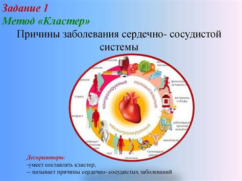 Заболевания сердечно сосудистой системы гипертония инфаркт