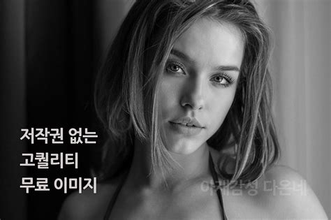 무료 이미지 저작권없는 이미지 다온네 아재감성 다온네