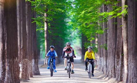 Tiket Gratis Ke Destinasi Wisata Terbaik Di Rizhao