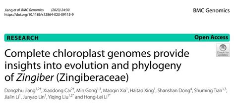 植物叶绿体基因组 完整的叶绿体基因组为姜属（姜科）的进化和系统发育提供了见解 知乎