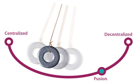 Book Rapper Examples Of Centralized And Decentralized Organizations