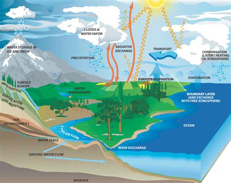 Mass Balance Hydrologic Model At Doris Norton Blog